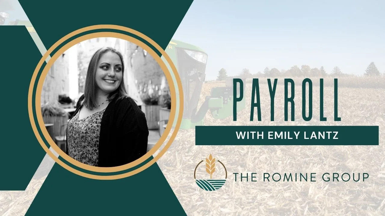Navigating Payroll: Essential Tips for Employers and Employees - The ...